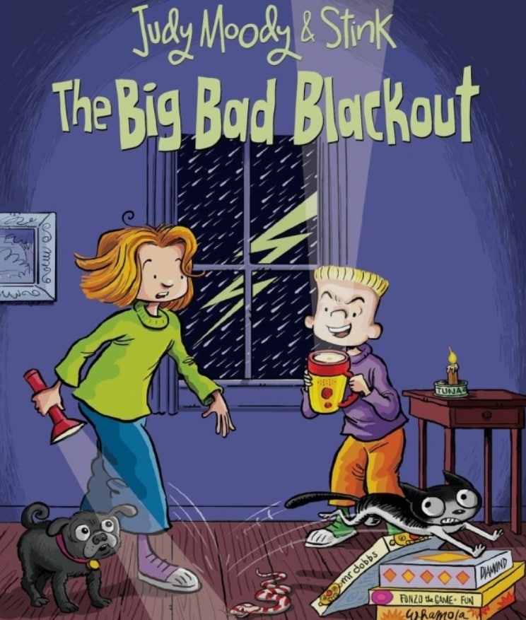AR 3점대 컬러영어챕터북추천 Judy Moody & Stink The Big Blackout Megan McDonald ...