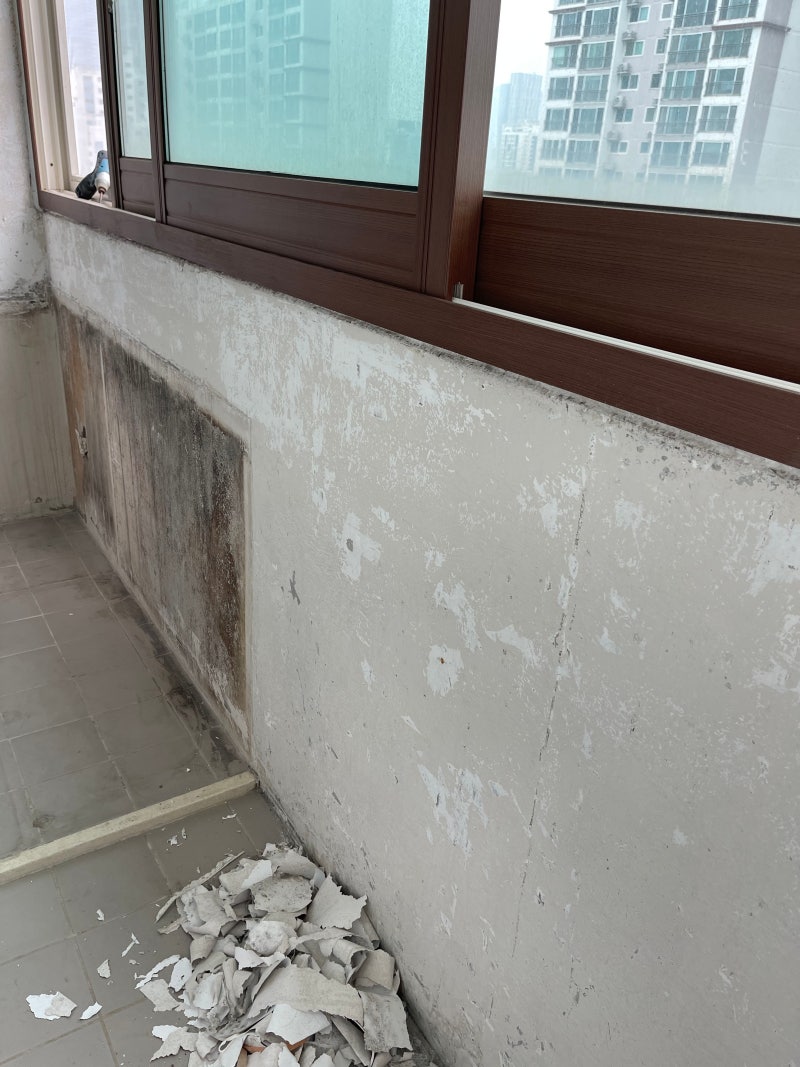 베란다 곰팡이 페인트 쉽게 생각하면 안되겠죠 네이버 블로그