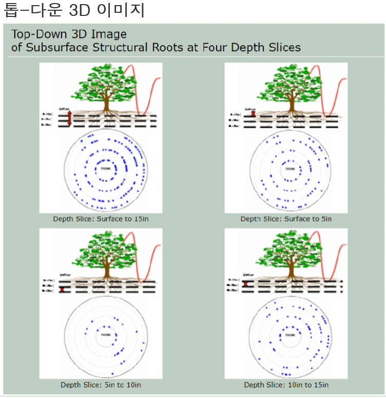 TRU(Tree Radar Unit)란 : 네이버 블로그