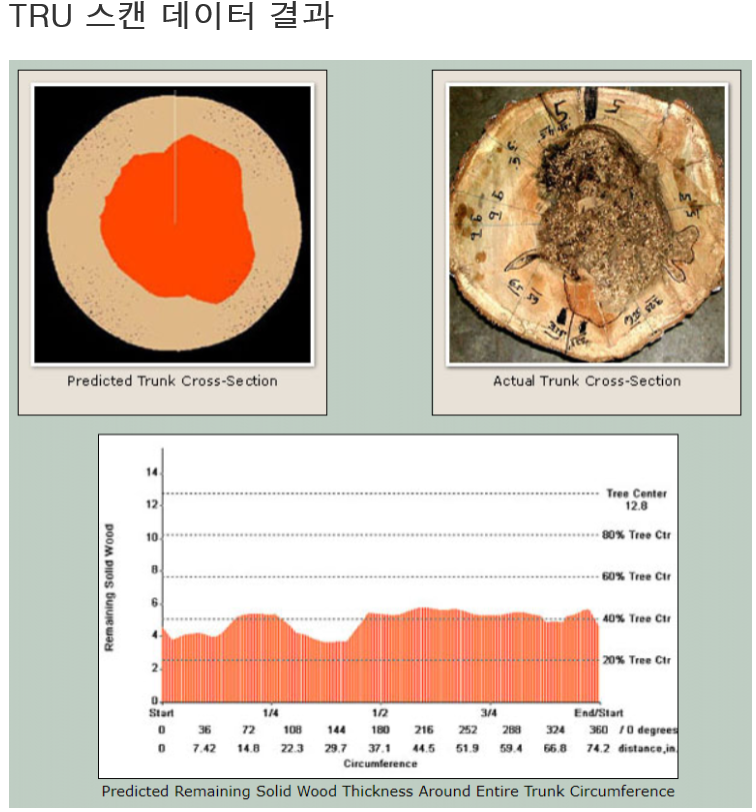 TRU(Tree Radar Unit)란 : 네이버 블로그
