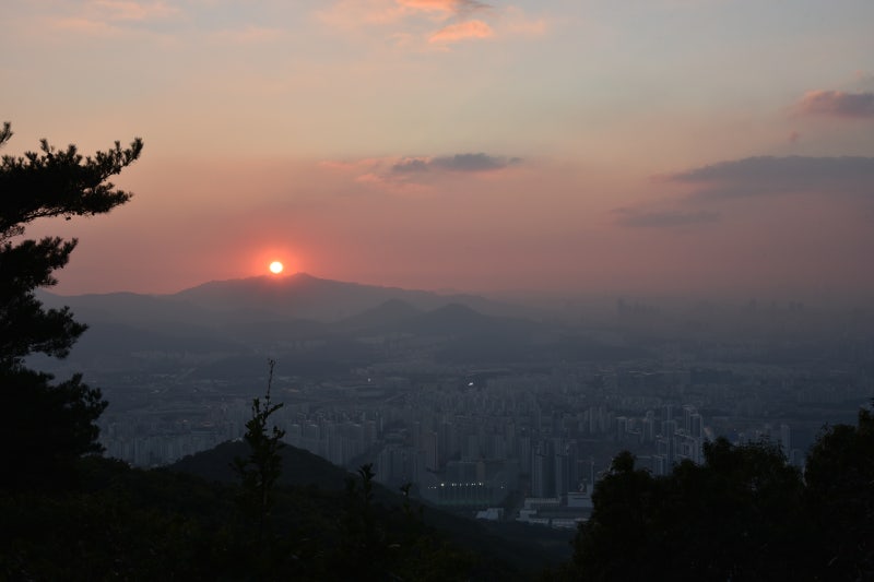 폐경기나이에 여성갱년기증상으로 프로기노바 프로베라정 프레미나정 쓰고도 계속 힘든 이유 네이버 블로그