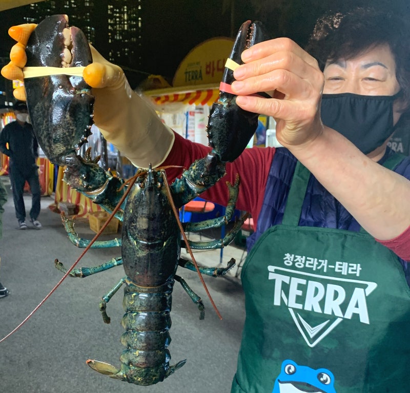 부산 해운대 포장마차촌 오륙도11호 추천 랍스터포차 네이버 블로그