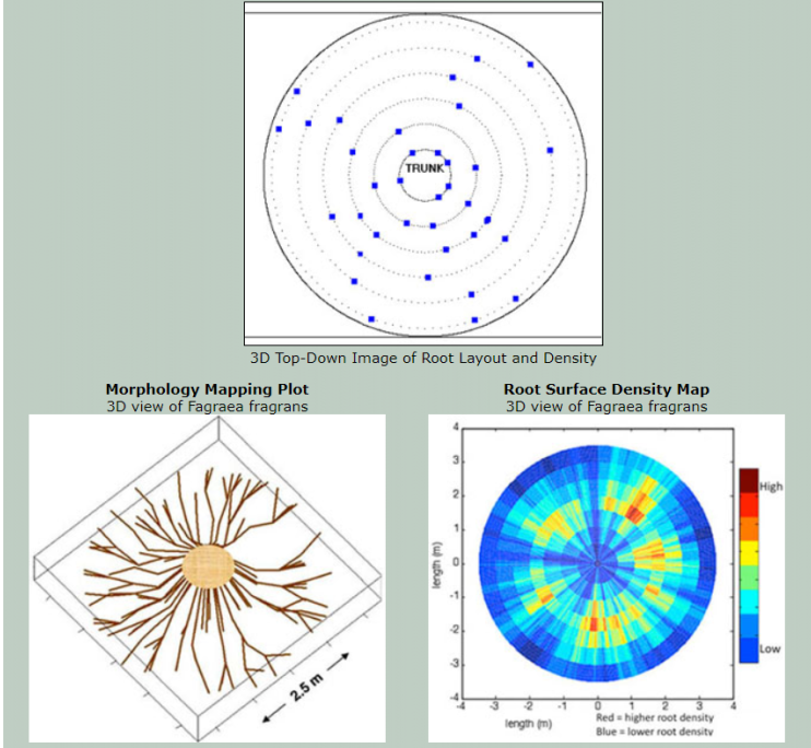 TRU(Tree Radar Unit)란 : 네이버 블로그