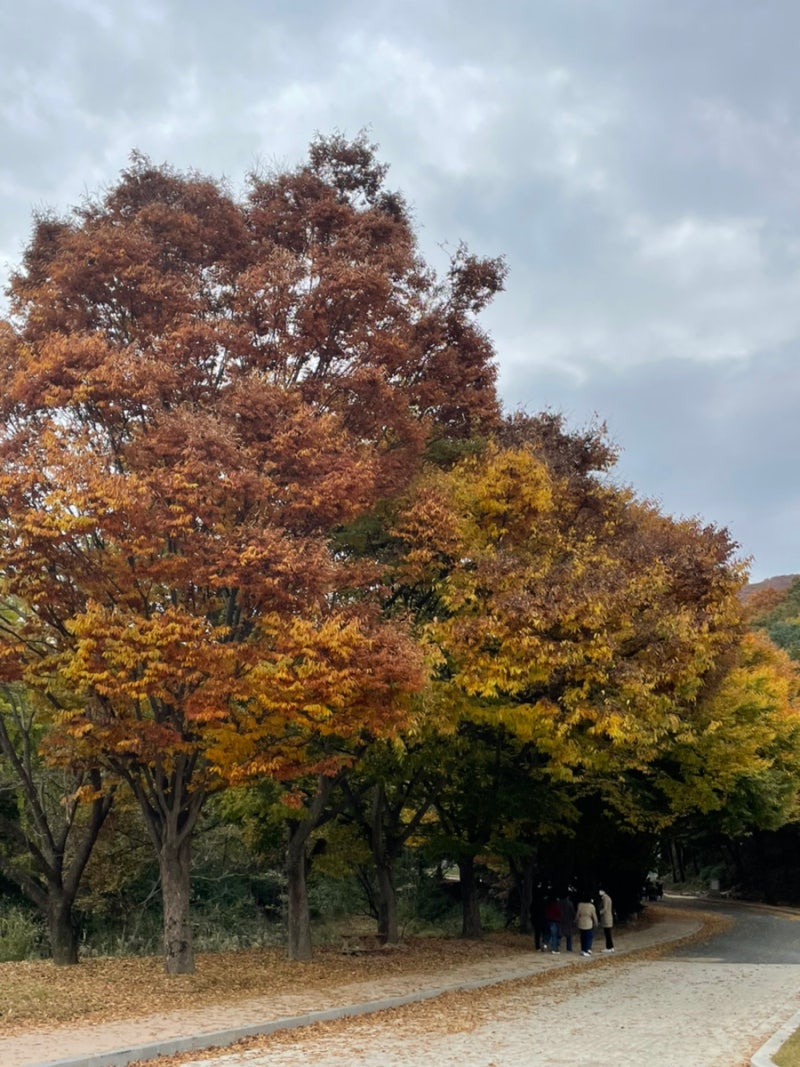 경기 안성 당일치기 여행 단풍 명소 미리내성지 네이버 블로그