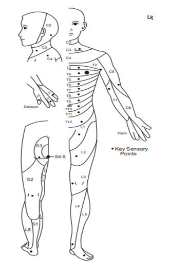작업치료 실습생 실습일지#13 [SCI KEYMUSCLE, ASIA SCALE, KEY SENSORY POINT ...