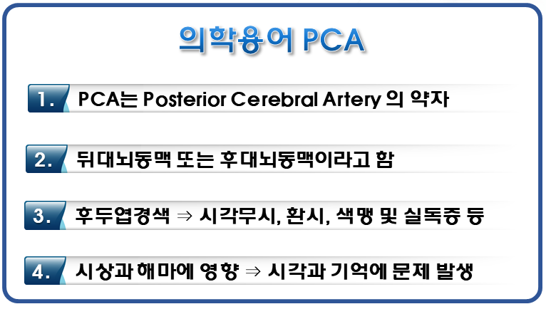의학용어 MCA 의학용어 ACA 의학용어 PCA : 네이버 블로그