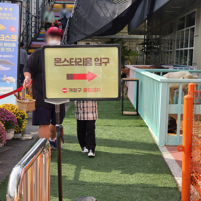 김포 수산공원 수족관 아이랑 가볼만한 몬스터리움 네이버 블로그