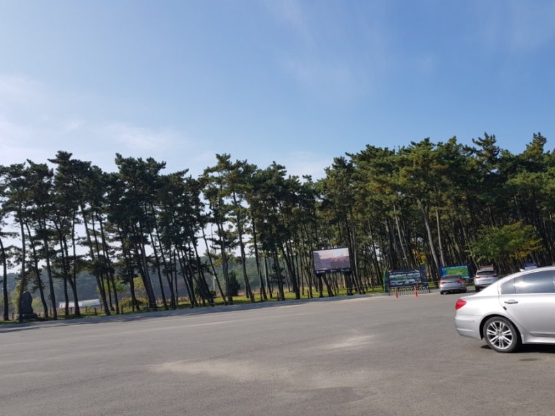 충남 서천 가볼만한곳 장항 스카이워크 장항 송림 산림욕장 힐링코스 기벌포 해전 전망대 송림해변 금강하구둑 놀이