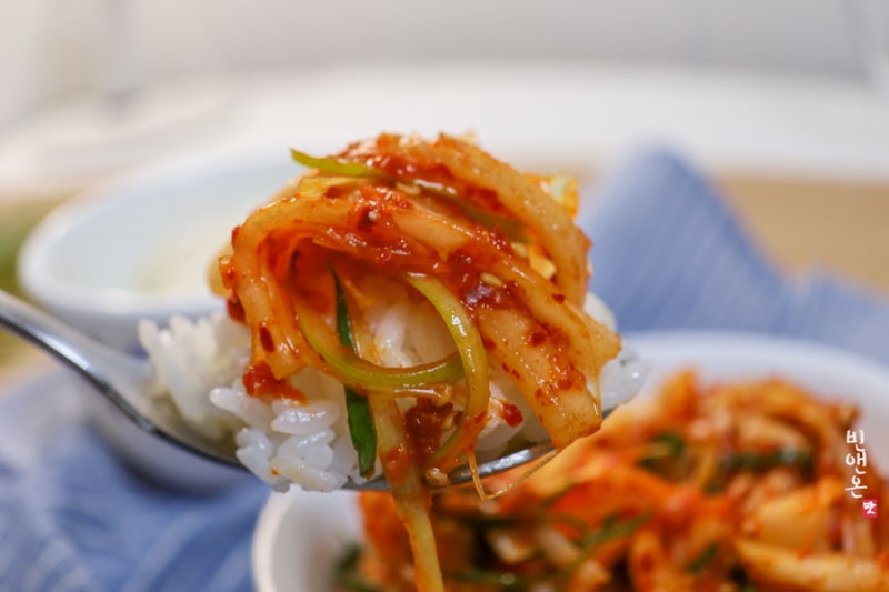 알토란 무우생채 만들기 액젓 없이 아삭하게 무생채 만드는법 네이버 블로그