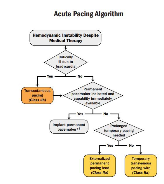 014. 신규간호사를 위한 pacemaker의 모든 것 : 네이버 블로그