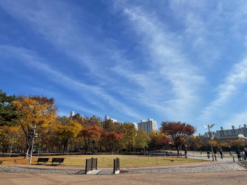 안양 평촌 중앙 공원 가을 아이와 나들이 주차장 매점 화장실 위치 네이버 블로그