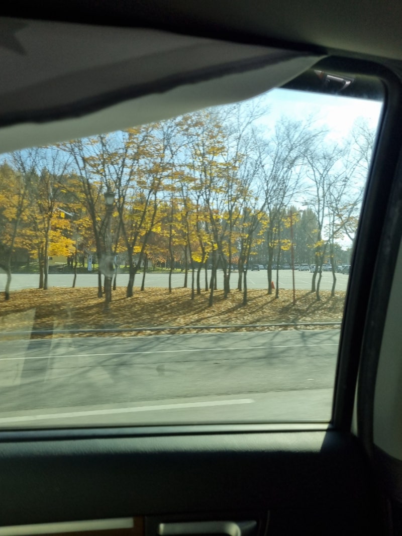 천안 가볼만한 곳 상록리조트 놀이동산 상록랜드 신나게 놀았어요 네이버 블로그
