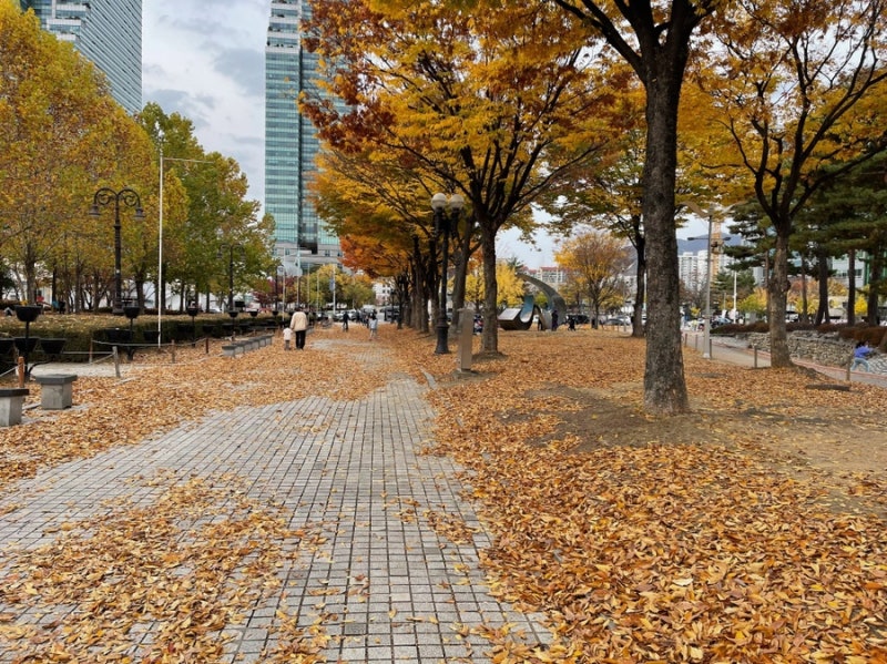 안양 평촌 중앙 공원 가을 아이와 나들이 주차장 매점 화장실 위치 네이버 블로그