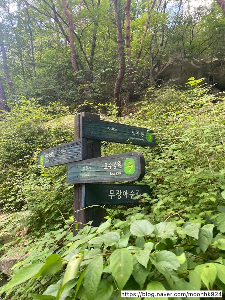 서울 등산 추천 관악산 초급 등산 코스 관악산입구 호수공원 연주대 관악산 정상 서울대공대 네이버 블로그