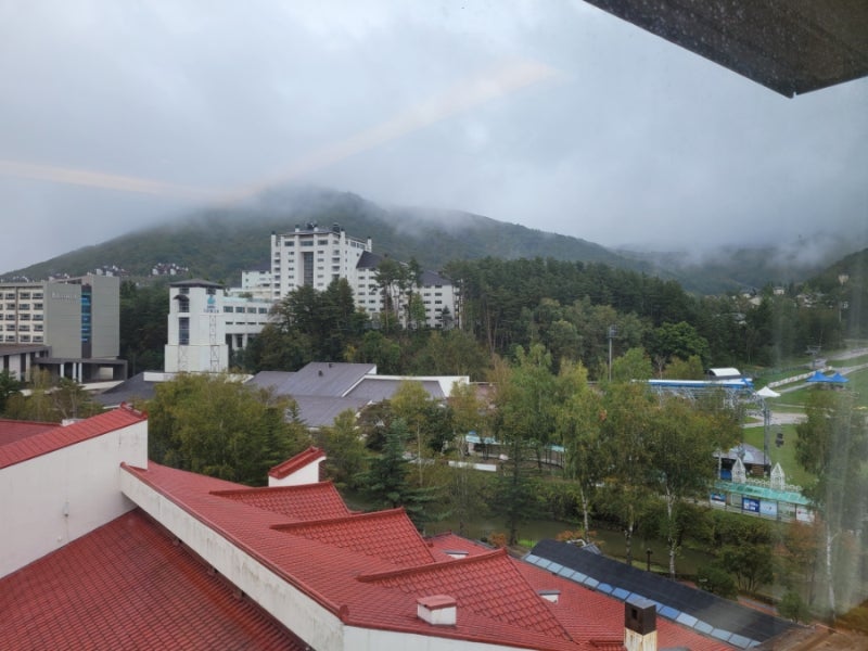 용평리조트 드래곤밸리호텔 슈페리어 패밀리 트윈 모나파크 애니포레 발왕산케이블카 네이버 블로그