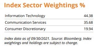 FNGG ETF - 한 달 동안 20% 상승? FANG 20 2배 레버리지 ETF 알아보기 : 네이버 블로그