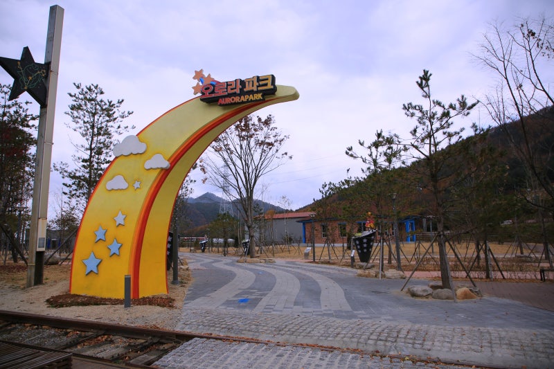 태백 가볼만한곳 통리 오로라파크 와 오로라 카페 네이버 블로그