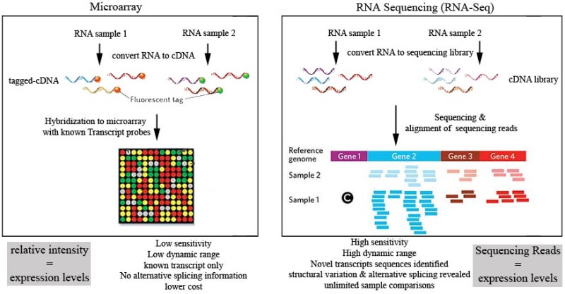 Microarray vs RNA-seq. : 네이버 블로그