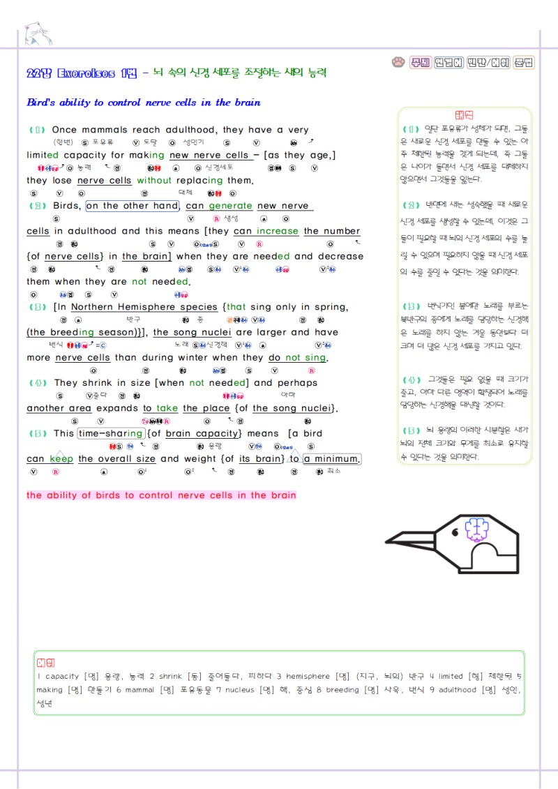 수능특강 라이트 Light 영어 독해 23강 분석노트 워크북 네이버 블로그
