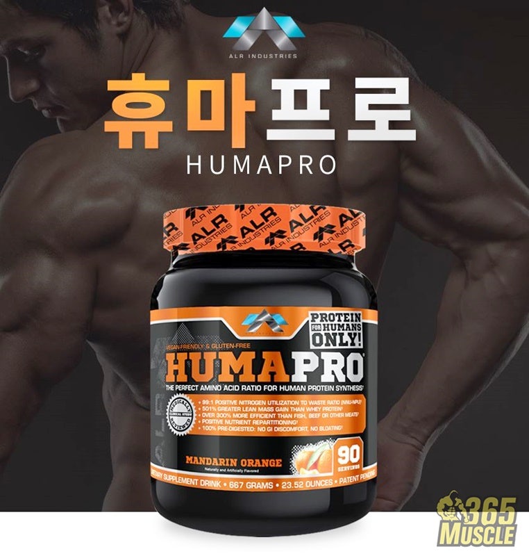 종류별 운동보조제 내 몸의 건강을 챙기세요 : 네이버 블로그