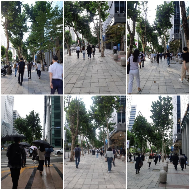 세무사수습 2021 세무사 실무교육 끝 And 근무세무사 시작 수료식간소화 진로고민 소중한동기 네이버 블로그
