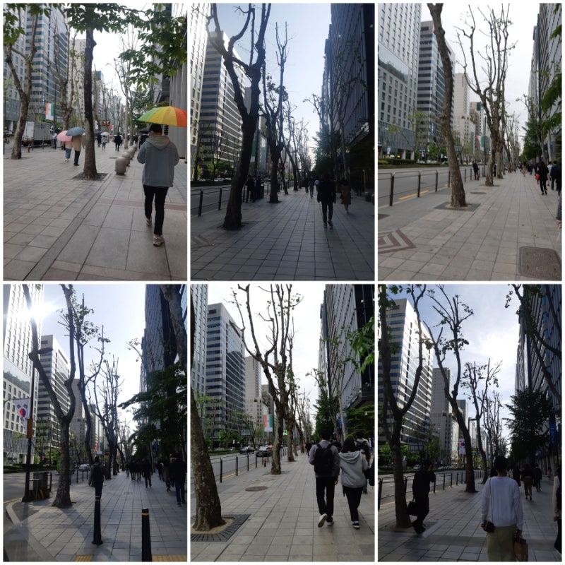 세무사수습 2021 세무사 실무교육 끝 And 근무세무사 시작 수료식간소화 진로고민 소중한동기 네이버 블로그