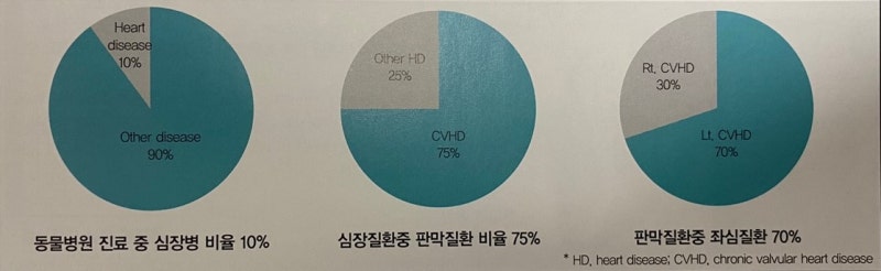 🫀 [수의학 적용] 개의 이첨판 폐쇄부전증(MMVD): 병태생리, 진단, 치료 가이드 : 네이버 블로그