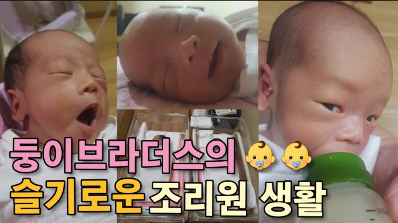 이란성 쌍둥이 형제의 슬기로운 조리원 생활 리얼 후기 모유반 분유반 네이버 블로그