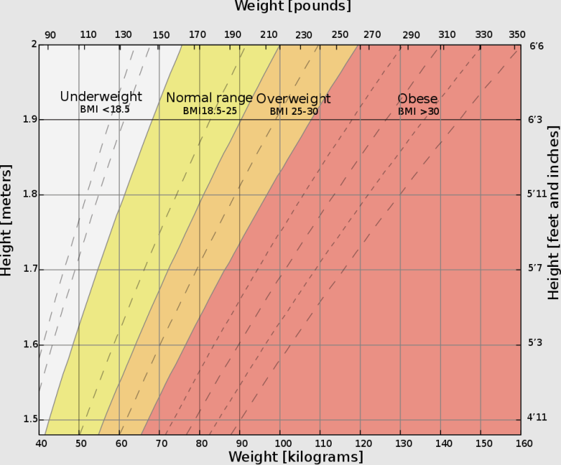 Bmi 계산하기 정상 수치 【bmi지수 비만도 체질량지수 비만도 계산기 비만 뜻】 네이버 블로그