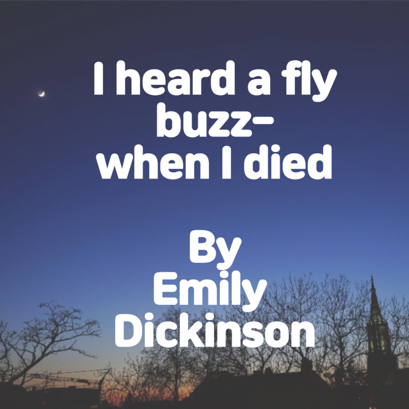 I heard a fly buzz when I died by Emily Dickinson. 내가 죽을 때 파리가 윙윙거리는 ...