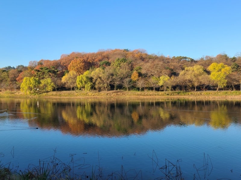 군산 가볼만한 곳 은파호수공원 수변로주차장~물빛다리~별빛다리~원점 산책 네이버 블로그