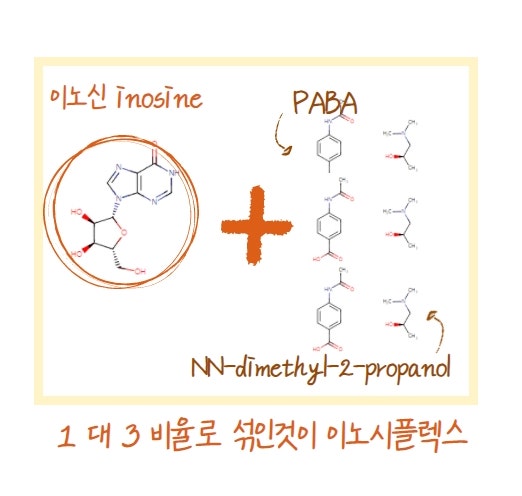 이노시플렉스 inosiplex :푸리노신, 콕사바, 이녹시, 푸리스토시럽 : 네이버 블로그