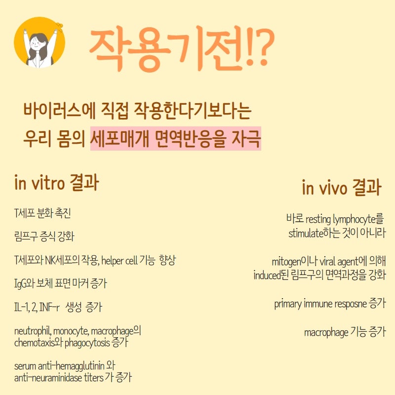 이노시플렉스 inosiplex :푸리노신, 콕사바, 이녹시, 푸리스토시럽 : 네이버 블로그