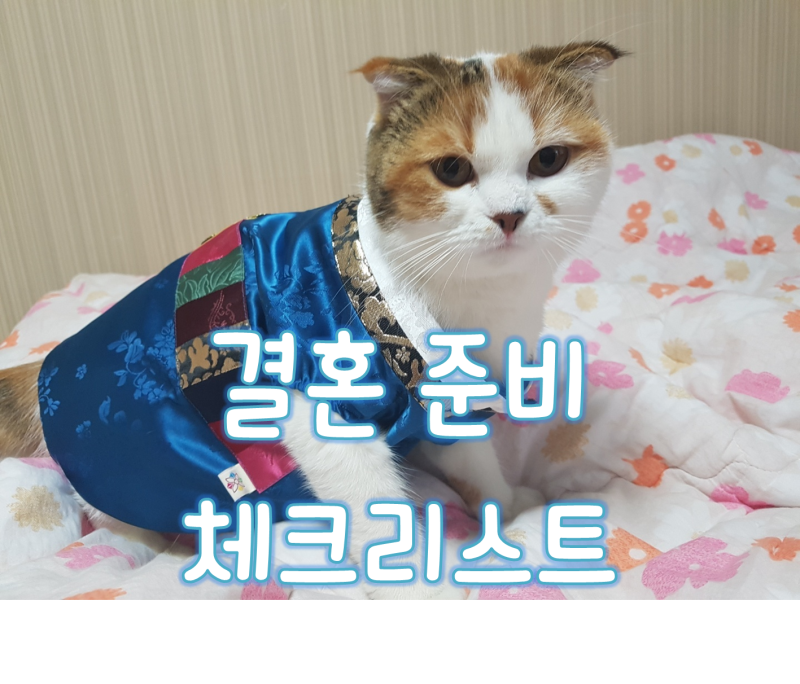 결혼 준비 체크리스트 엑셀파일 공유 업체 아님 네이버 블로그