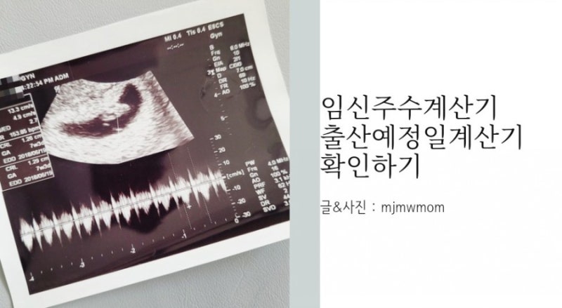 임신주수계산기 및 출산예정일계산기 확인해봐요 네이버 블로그