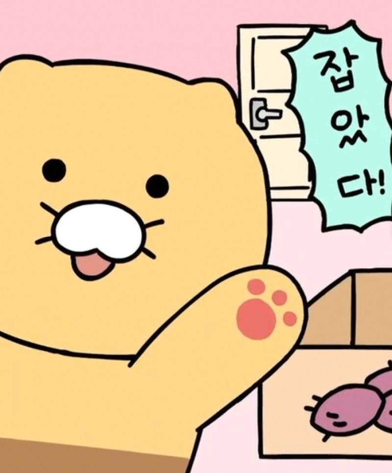 카카오프렌즈 춘식이 이미지 모음22 네이버 블로그