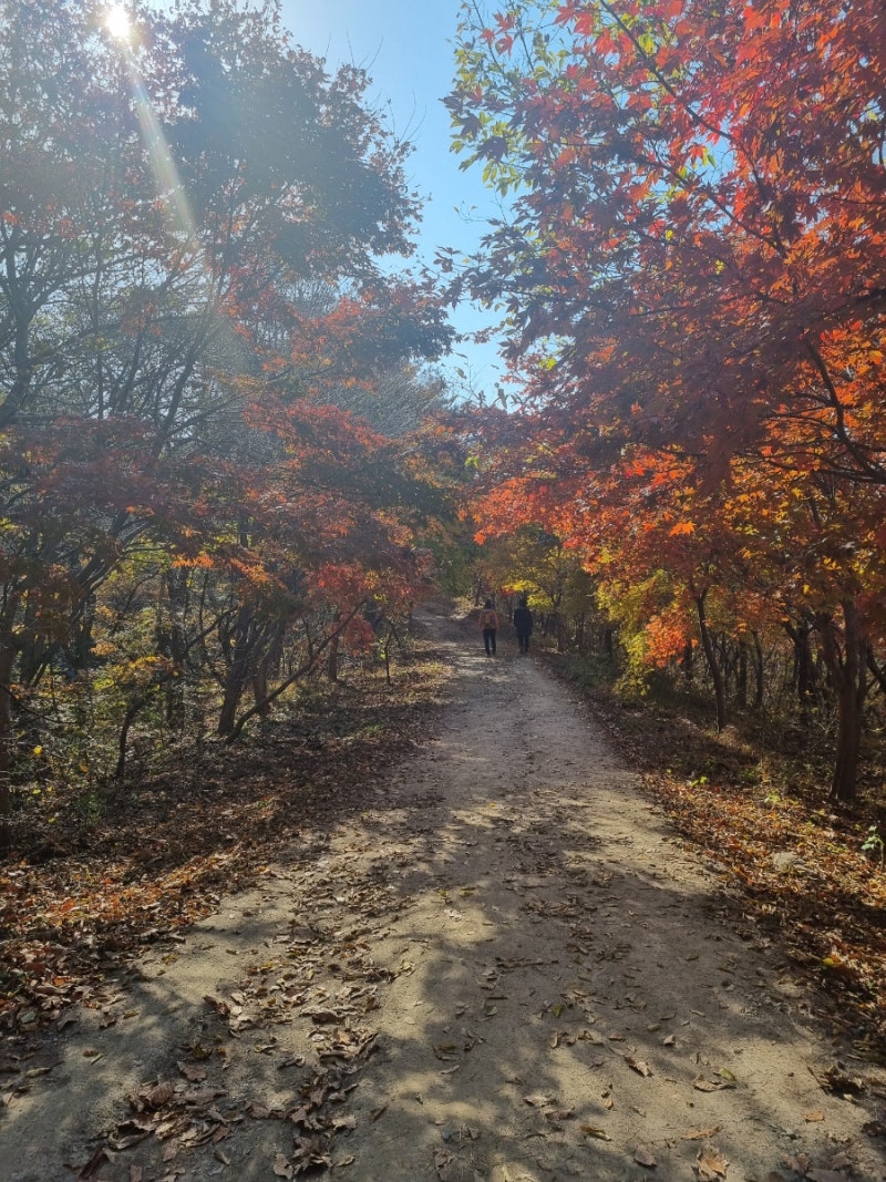 울산 북구 무룡산 등산코스 화동공영주차장 출발 네이버 블로그
