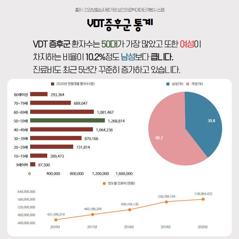 [2021년 보건의료 통계정보 활용 경진대회] VDT가 뭐지? : 네이버 블로그