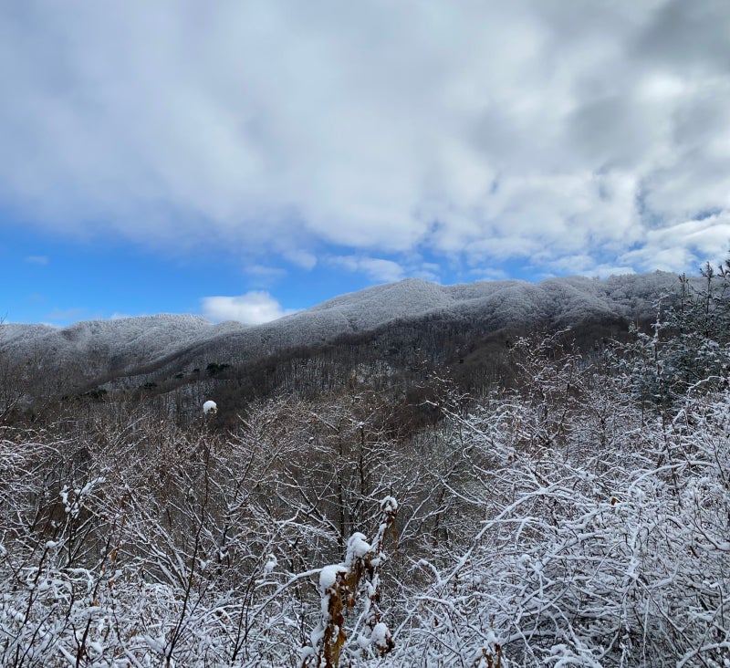 눈꽃산행 지리산 바래봉 등산 코스 지리산 용산 주차장 허브밸리 바래봉 네이버 블로그