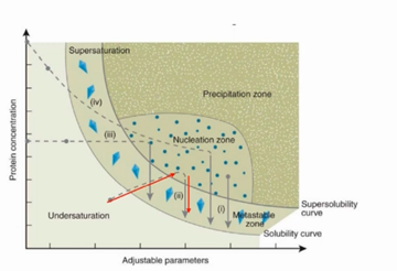 [단백질체학 및 실험] 13주차 Vapor Diffusion(단백질 결정 : Protein crystallization ...