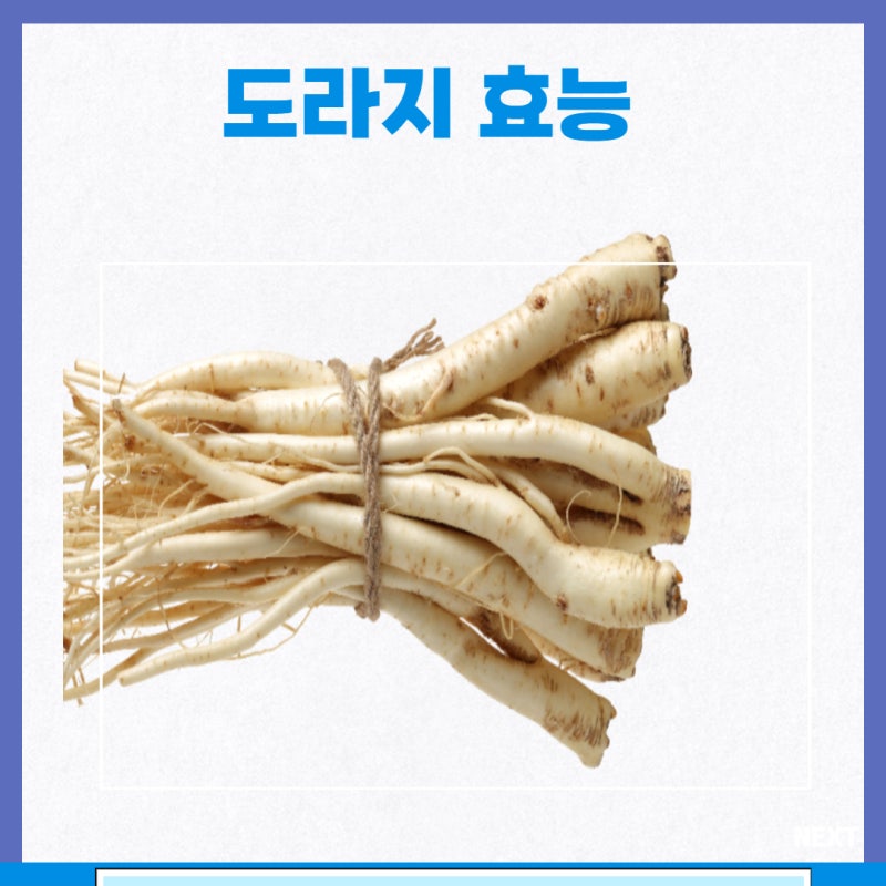 도라지 효능 부작용 칼로리 도라지즙 산도라지 도라지차 효능 네이버 블로그