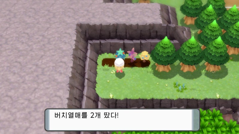 포켓몬스터 샤이닝 펄 공략 8부-206번도로~연고시티 : 네이버 블로그