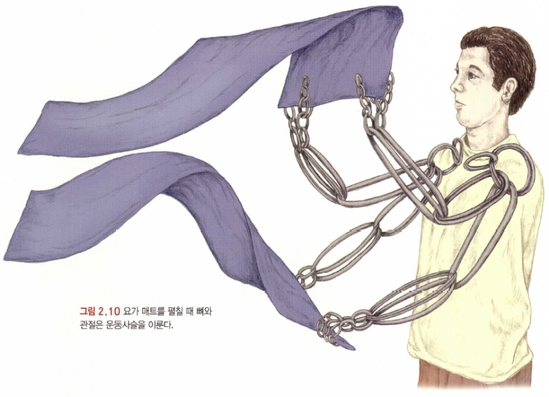 OKC&CKC(열린&닫힌 운동형상학적 사슬)이 헷갈리신다고요? : 네이버 블로그