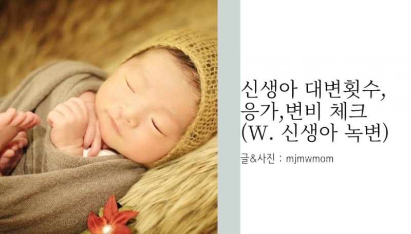 신생아 대변횟수 응가 변비 체크 W 아기 녹변 네이버 블로그