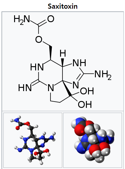 삭시 톡신 [saxitoxin] : 네이버 블로그