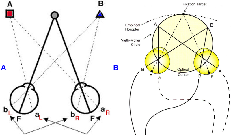 양안시, 두 눈 보기(Binocular Vision)란 무엇인가? - 단안시, 대응망막점, 호롭터(Horopter), 파눔융합 ...