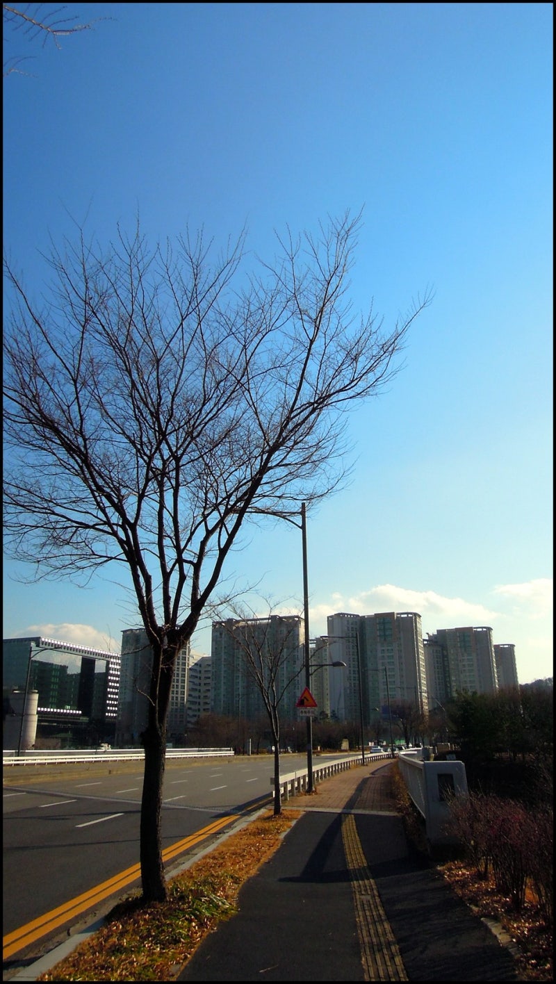 판교 화랑공원 동편 방문기 판교 공원 분당 공원 주차 네이버 블로그