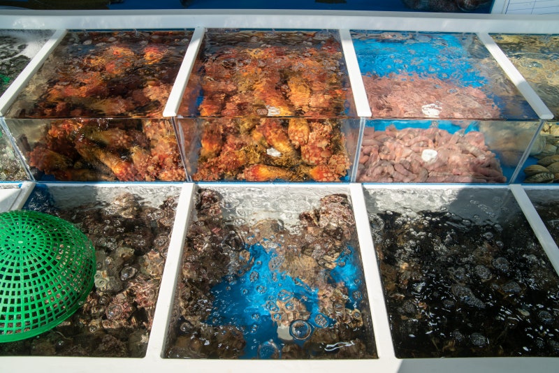 전남자은도맛집 상다리부서지는 백길천사횟집 네이버 블로그