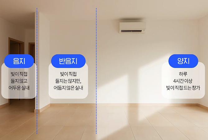 음지식물 키우기 쉬운 실내식물 추천스파티필름 산세베리아 등 네이버 블로그