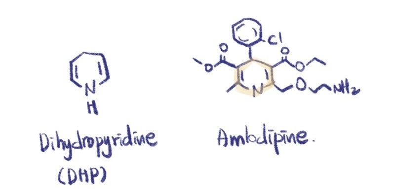 [약물치료학] #32. CCB(칼슘채널차단제, 칼슘채널블로커) : 네이버 블로그